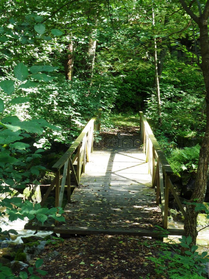 Steg im Wald stockbild. Bild von park, architektur, garten - 13069477