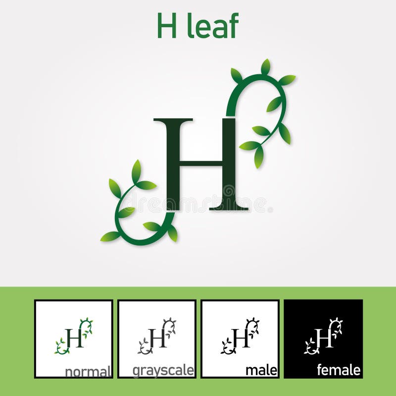 H Letter Logo. Green Color. Leaf Style - Vector Stock Vector ...