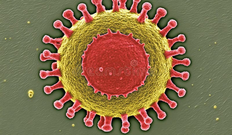 The H1N1 Strain of the Influenza Virus As Seen Under a Microscope ...