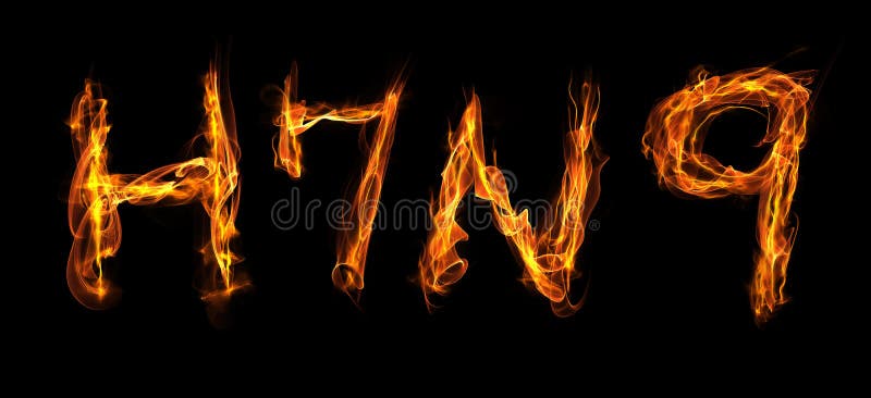 Wtf stock photo. Image of fire, text, furious, wall, acronym - 21350552