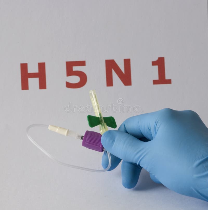 H5n1 stock image. Image of cell, medicine, hand, aids, dmem - 590693