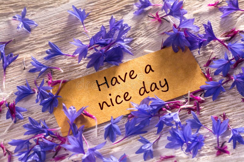 Ha En Motivational Citationsteckenaffisch För Trevlig Helg ...