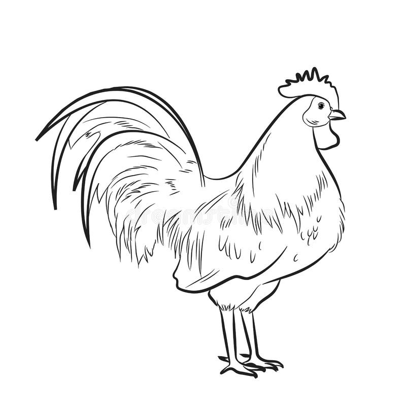 Haan Stock Illustrations, Vectors, & Clipart – (44,135 Stock Illustrations)