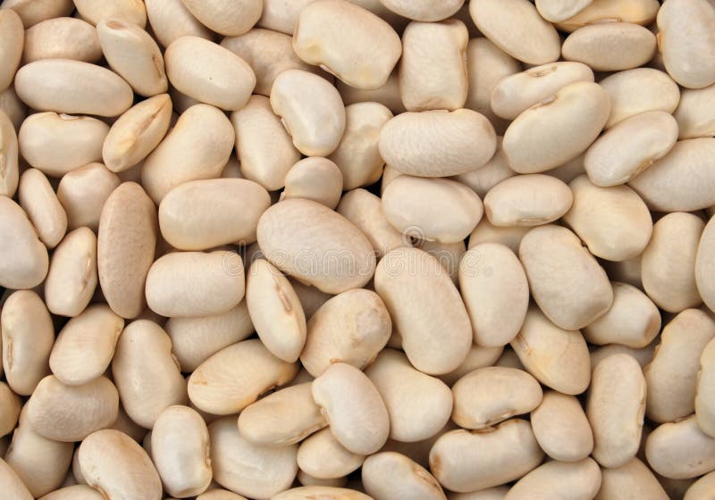 Haba 01 imagen de archivo. Imagen de fondo, haba, sano - 3647119