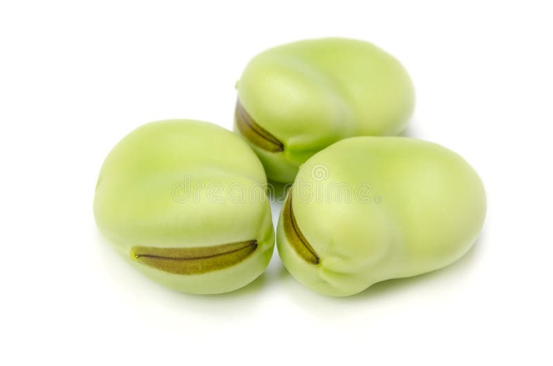 Haba foto de archivo. Imagen de salud, sano, cocinero - 24976206