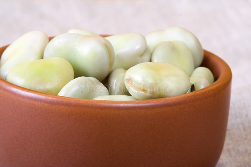 Semillas De La Haba - Variedad Roja De La Flor Faba De La Vicia Imagen ...