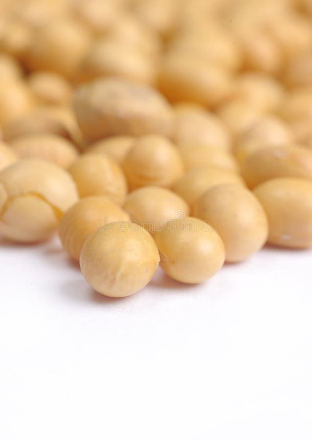 Haba de la soja foto de archivo. Imagen de soja, tradicional - 13034592