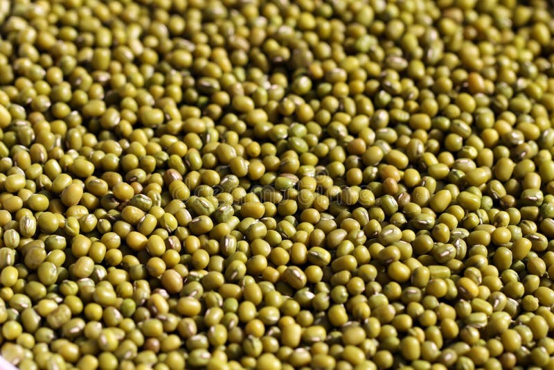 Haba de Mung foto de archivo. Imagen de fruta, goma, habas - 39247494