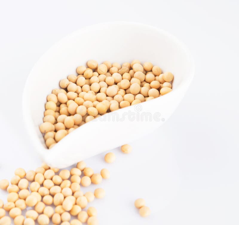 Haba de soja IV foto de archivo. Imagen de travieso, sojas - 35715154