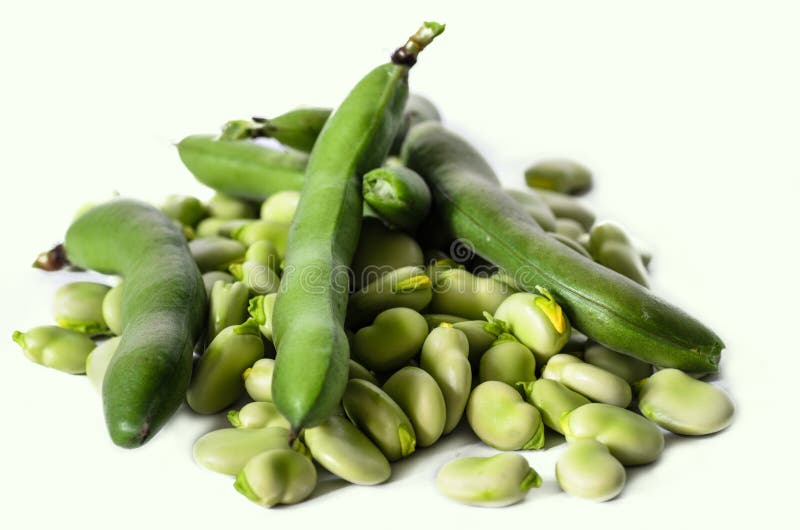Haba En Fondo Aislado Blanco Imagen de archivo - Imagen de primer ...