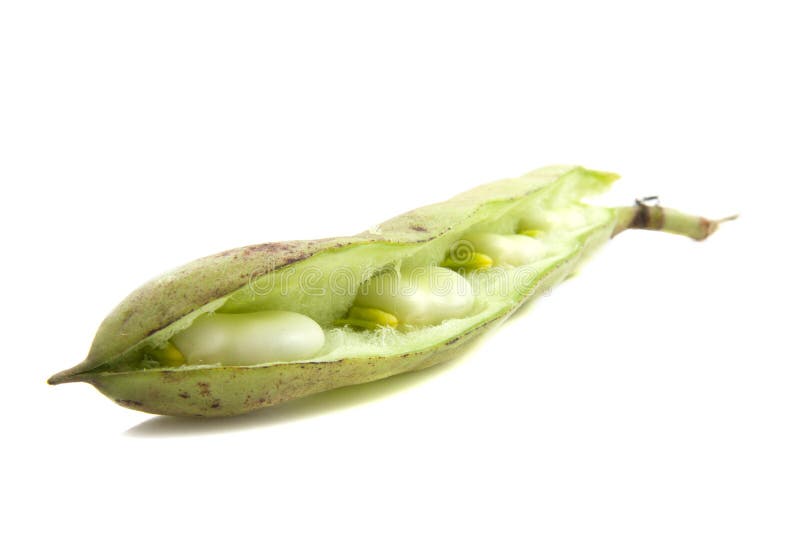 Habas de Boild imagen de archivo. Imagen de vegetariano - 45069499