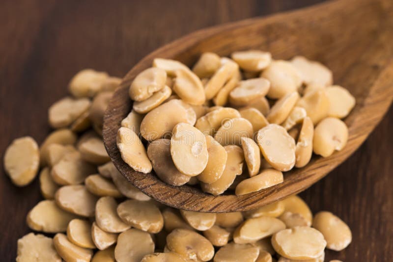 Haba seca foto de archivo. Imagen de dieta, legumbre - 50373464