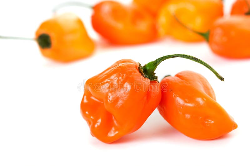 Habanero Peppers stock image. Image of spice, vegetable - 7152521