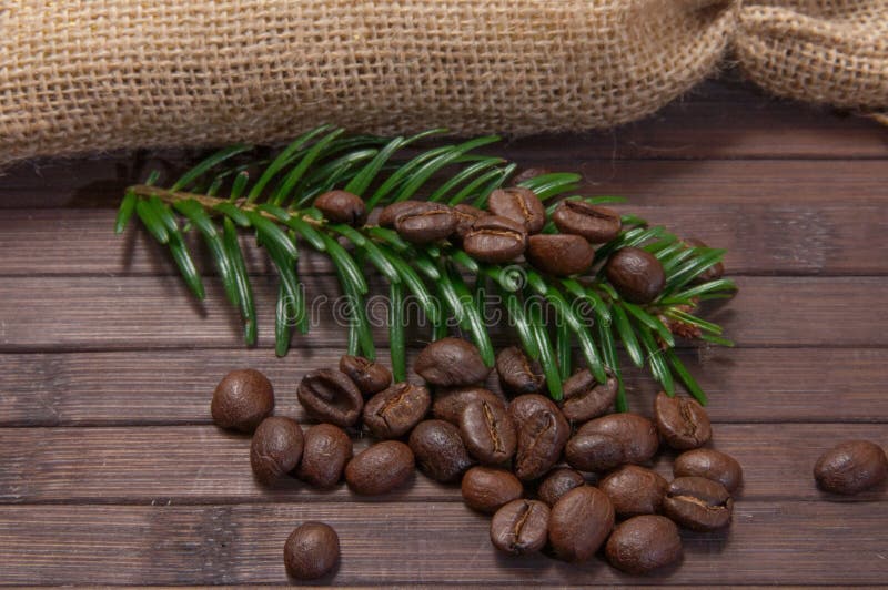 Habas imagen de archivo. Imagen de haba, café, llenado - 36262019