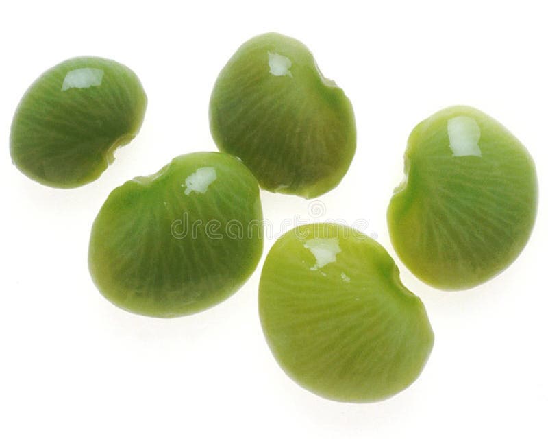 Habas de Lima imagen de archivo. Imagen de blanco, ingredientes - 5456469