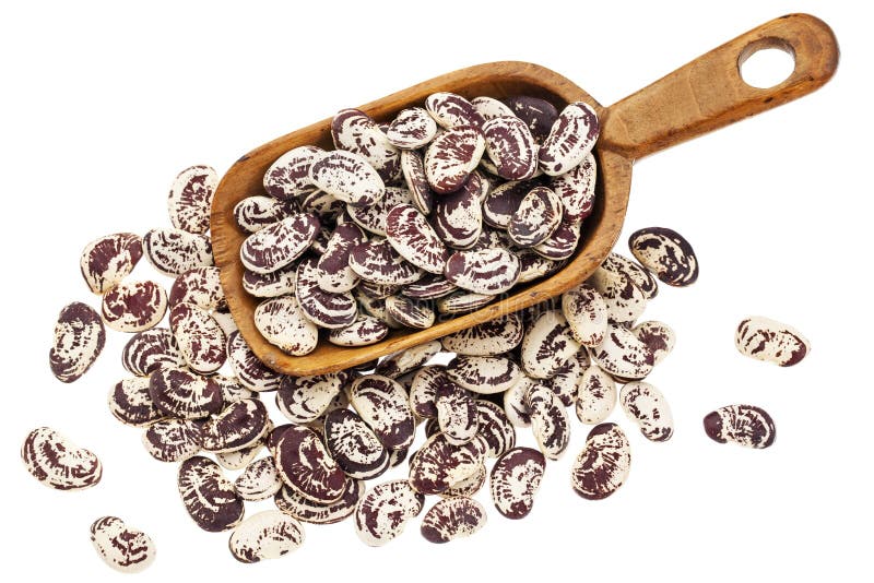 Habas De Lima De La Navidad Foto de archivo - Imagen de ingrediente ...