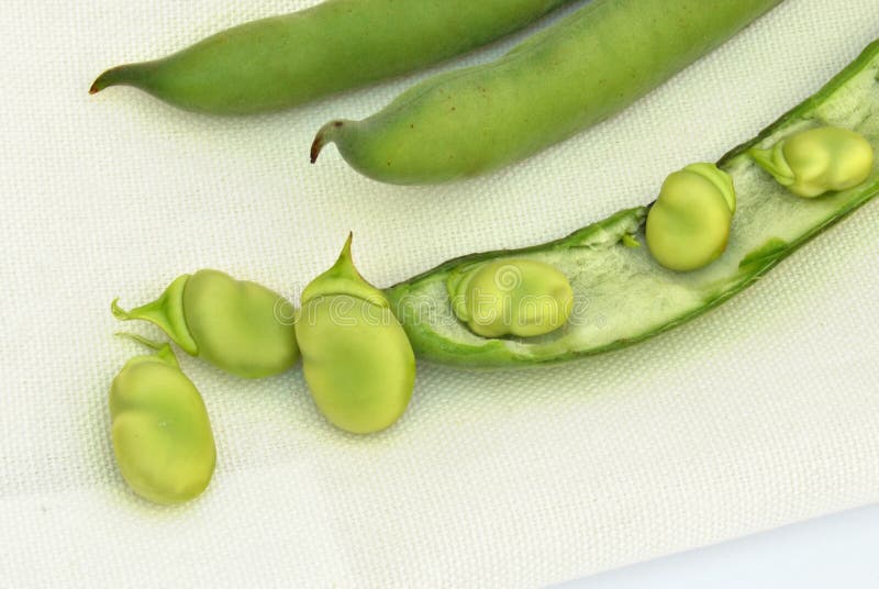 Habas frescas foto de archivo. Imagen de cereal, agricultura - 19774856