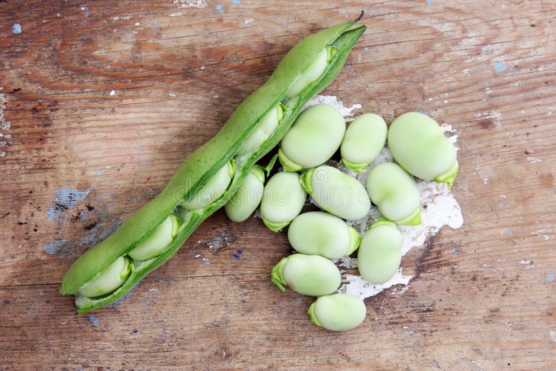 Habas frescas de la soja imagen de archivo. Imagen de alimento - 26655301