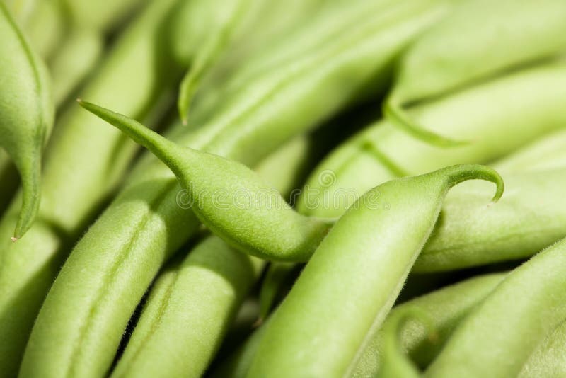 Haba verde imagen de archivo. Imagen de comer, dieta - 18423327