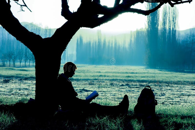 Reading Book Under Tree Silhouette Stock Photos - Free & Royalty-Free ...