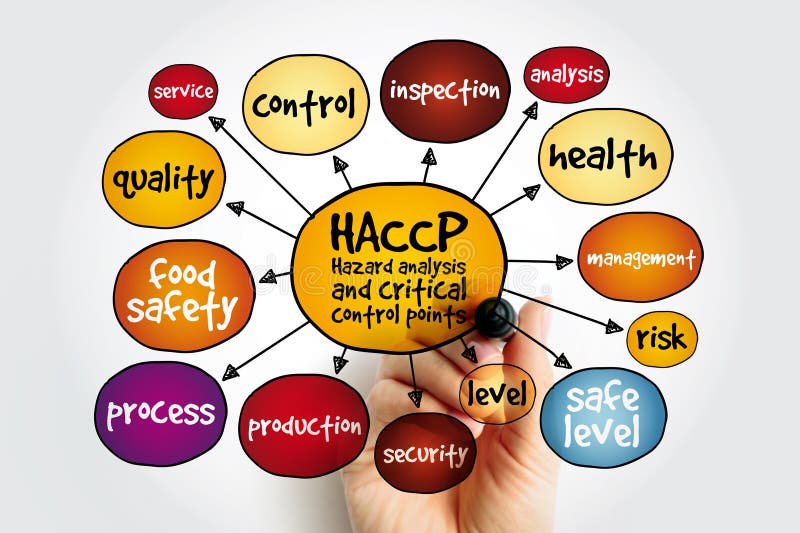 HACCP - Hazard Analysis and Critical Control Points Mind Map, Health ...