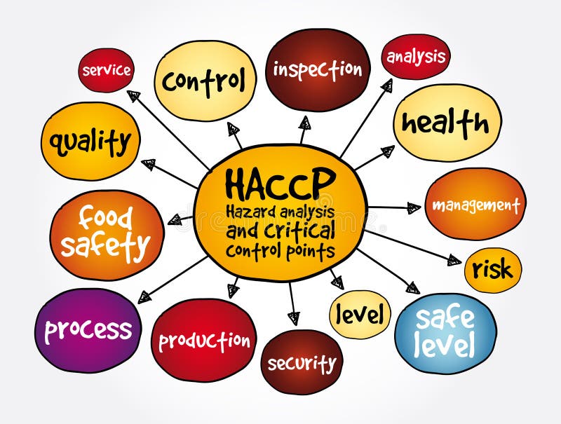 HACCP - Hazard Analysis and Critical Control Points Mind Map, Health ...