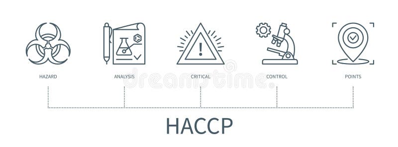 HACCP Infographic in Minimal Outline Style Stock Illustration ...