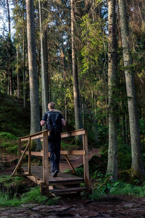 Hacer Excursionismo El Bosque Del Canal Imagen de archivo - Imagen de ...