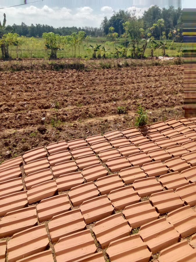 Hacer Tejas De Techo Tradicionales Desde Cero Foto de archivo - Imagen ...
