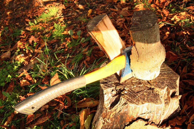 La Hache Coupe Le Bois De Chauffage Image stock - Image du homme, arbre ...