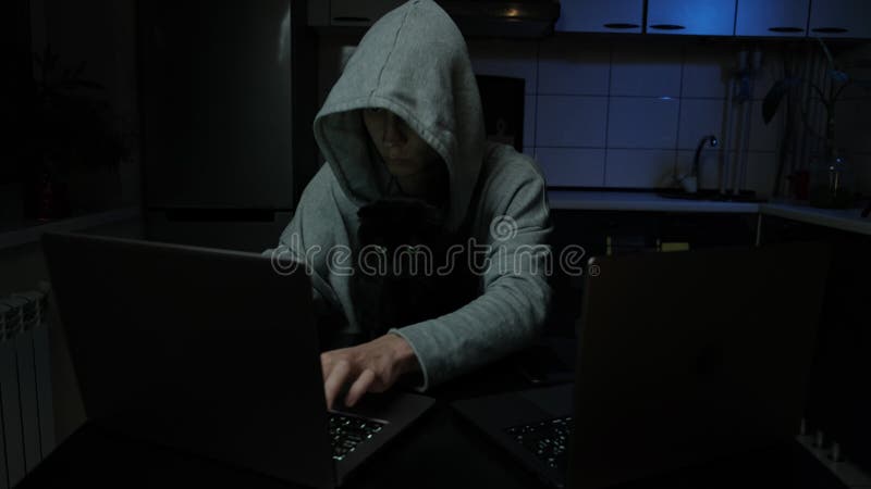A Hacker with a Black Cat in a Dark Home Room Types Rapidly on His ...