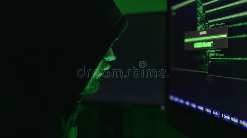 Hacker Looking at Display with Granted Access Result Stock Video ...