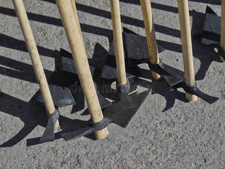 Hackor fotografering för bildbyråer. Bild av hjälpmedel - 31409451