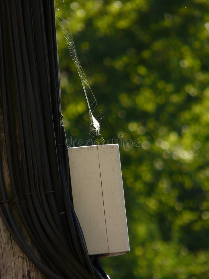 Had a Spider Web on the Electricity Box Stock Photo - Image of spider ...