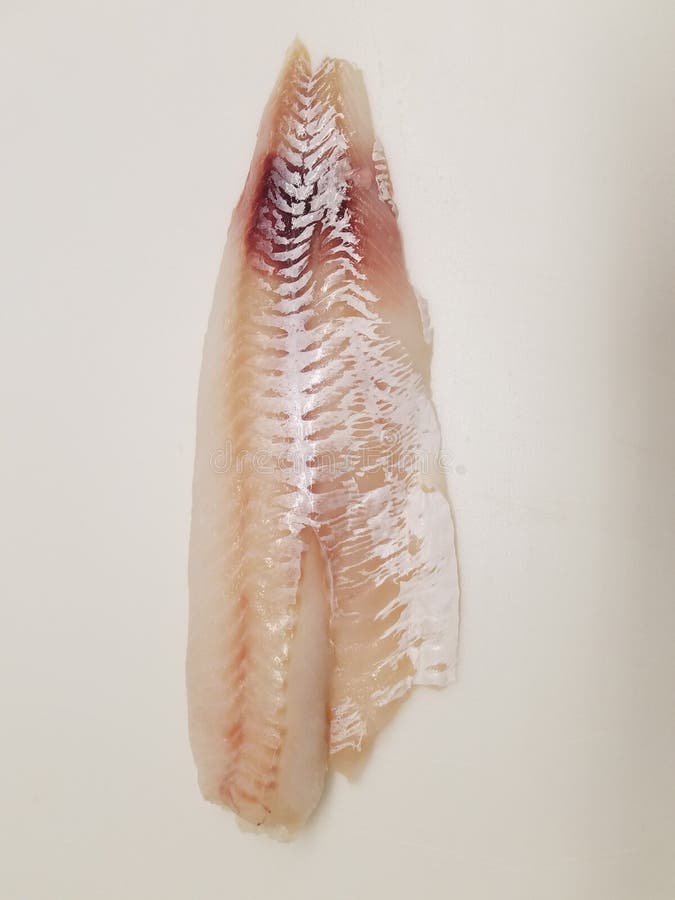 Haddock Skin Fillet Stock Photos - Free & Royalty-Free Stock Photos ...
