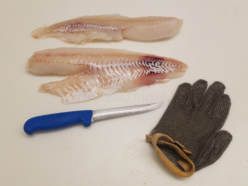 Haddock Big Fillet on Table Stock Photo - Image of steak, cook: 169801720
