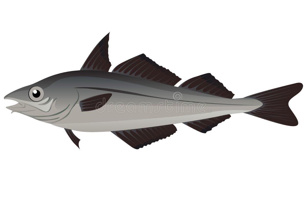 Haddock Cartoon Stock Illustrations – 32 Haddock Cartoon Stock ...