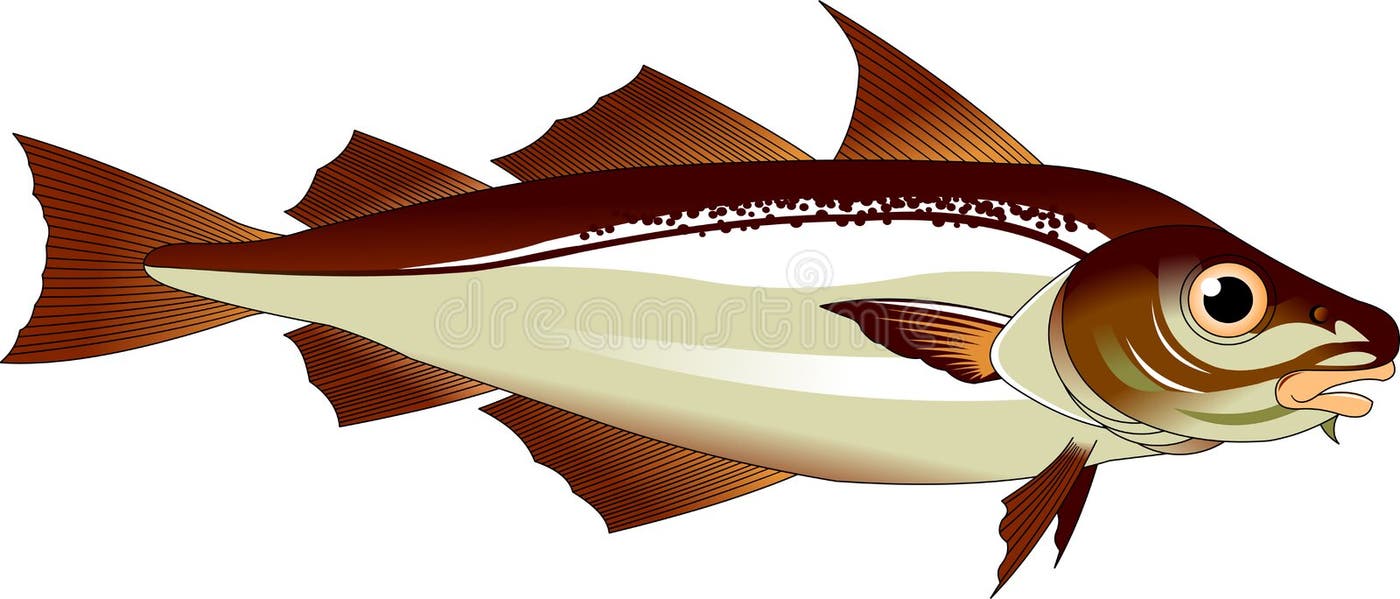 Haddock Stock Illustrations – 1,204 Haddock Stock Illustrations ...