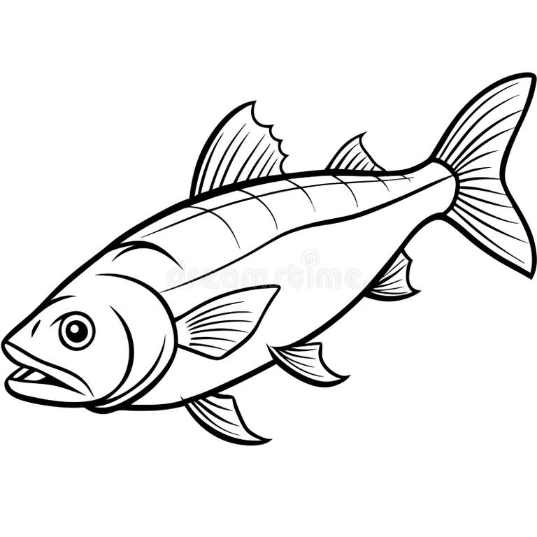 Haddock Line Art Haddock Vector Haddock Illustration Haddock Drawing Haddock Sketch Ai 2963