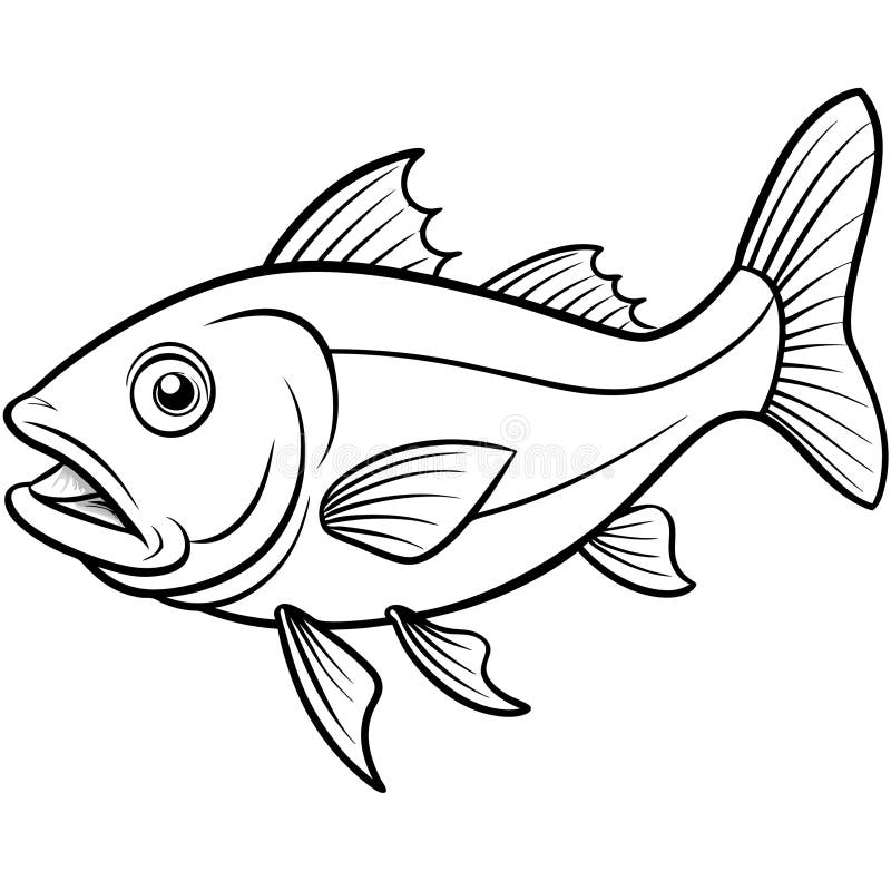 Haddock Line Art, Haddock Vector, Haddock Illustration, Haddock Drawing ...