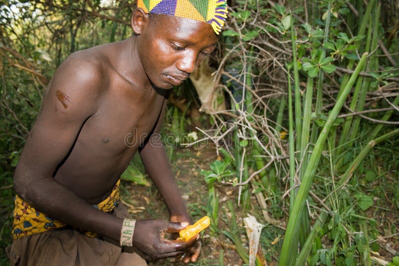 Bosjesman Hadzabe redactionele stock afbeelding. Image of droog - 30358984