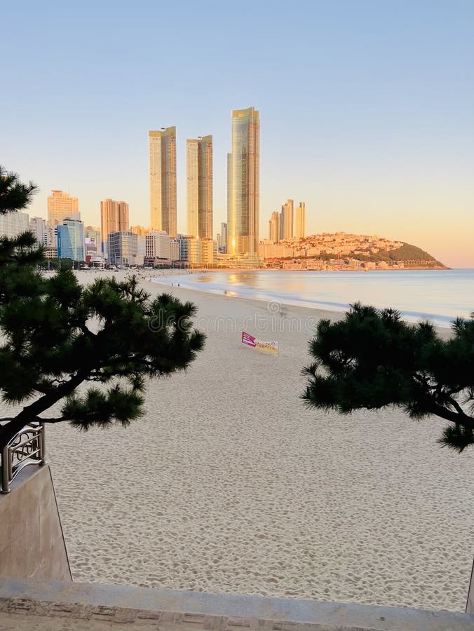 Haeundae Beach in Busan, Korea Stock Image - Image of reflection ...