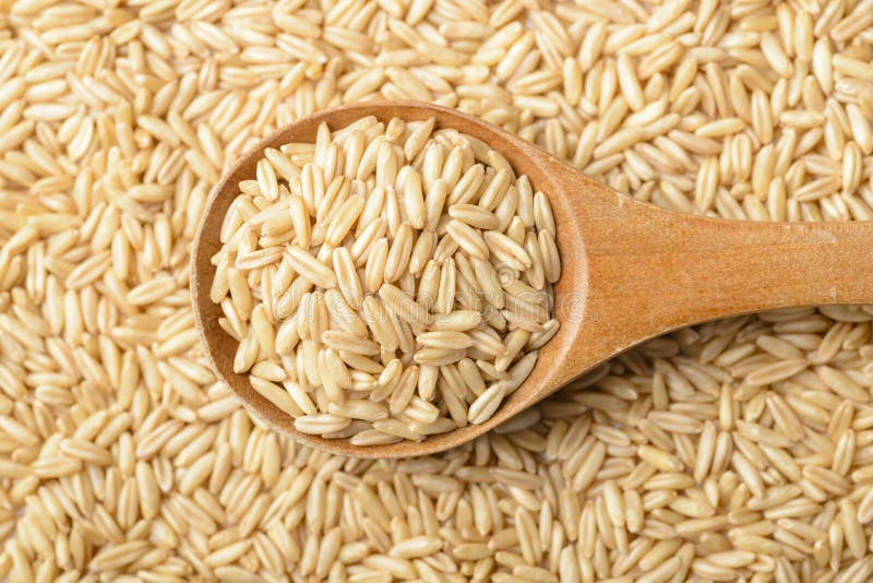 Feld des Hafers stockbild. Bild von frühling, mehl, geläufig - 74447025