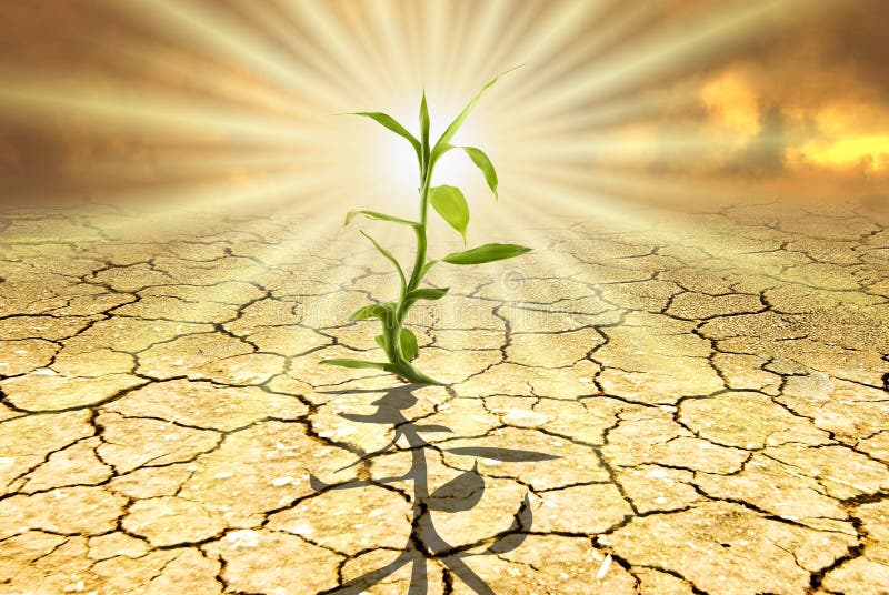 Haga Su Manera En Un Ambiente Hostil Foto de archivo - Imagen de ...