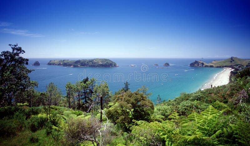 Hahei stock image. Image of serenity, blue, sand, trees - 3068571
