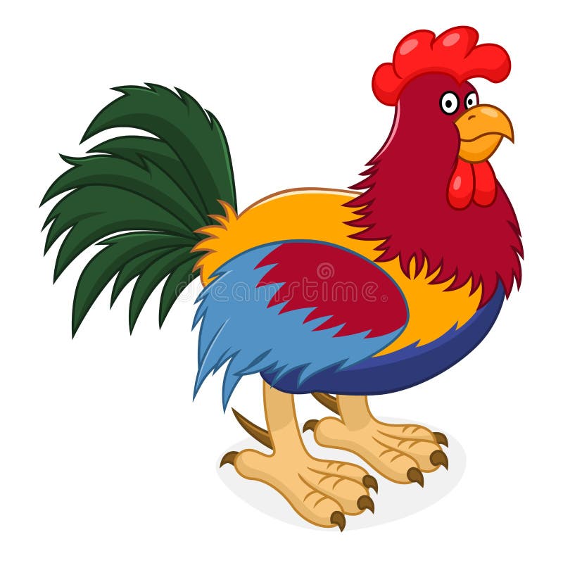 Hahn vektor abbildung. Illustration von tier, haustier - 74480414