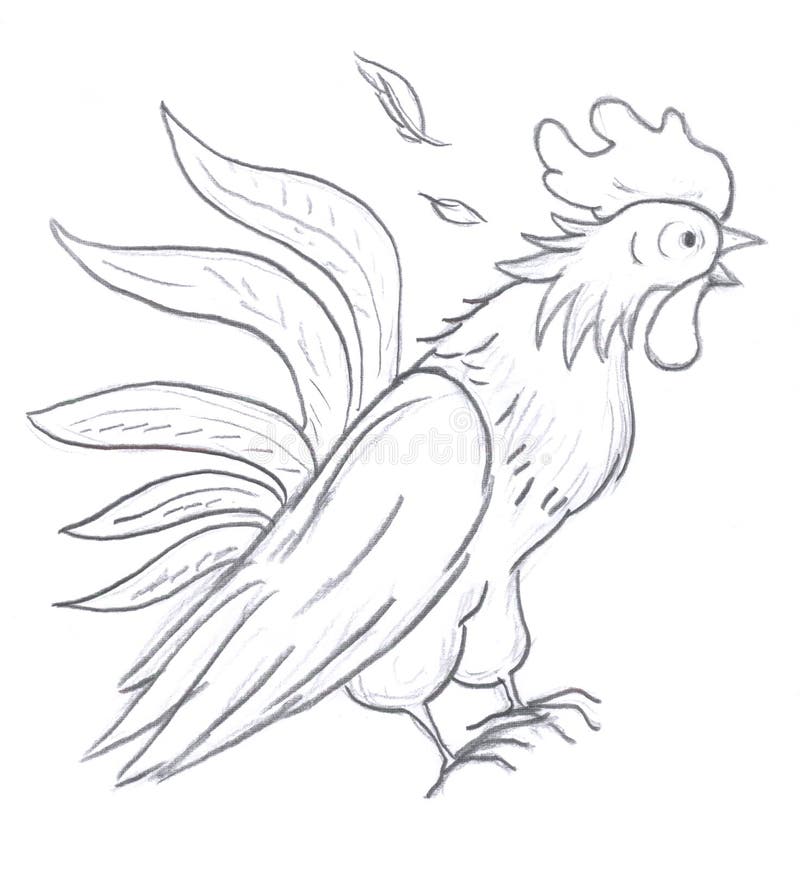 Hahn Und Henne, Vieh, Skizze Stock Abbildung - Illustration von vogel ...