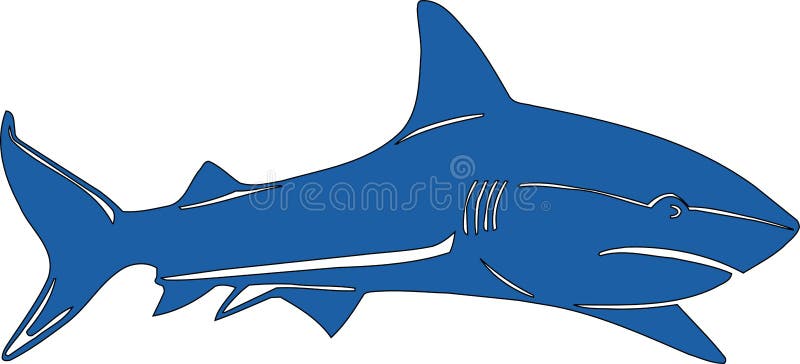 Haifisch Bild. Bild: 4628837