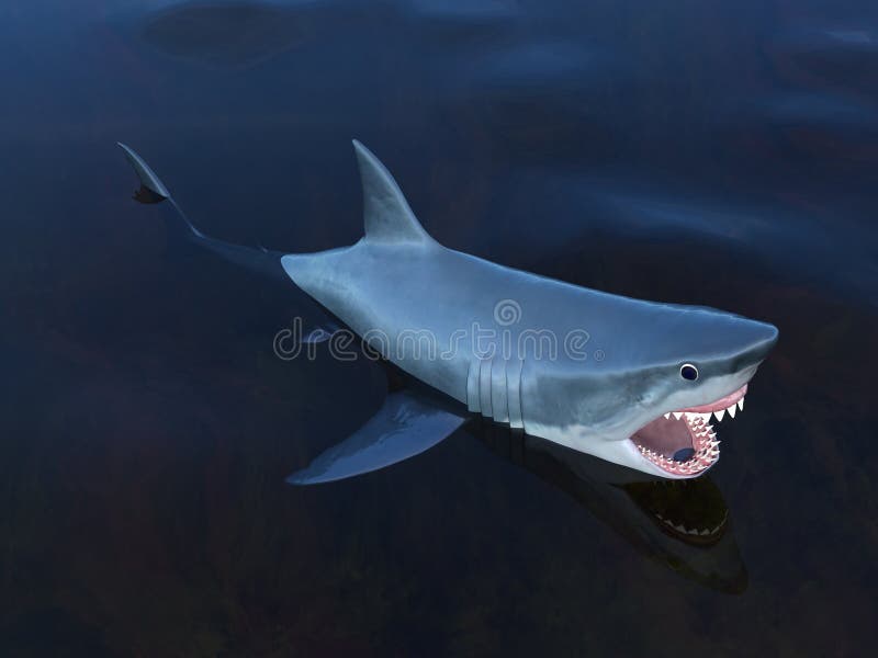 Wiedergabe 3D Der Haifischflosse über Wate Stockbild - Bild von nave ...
