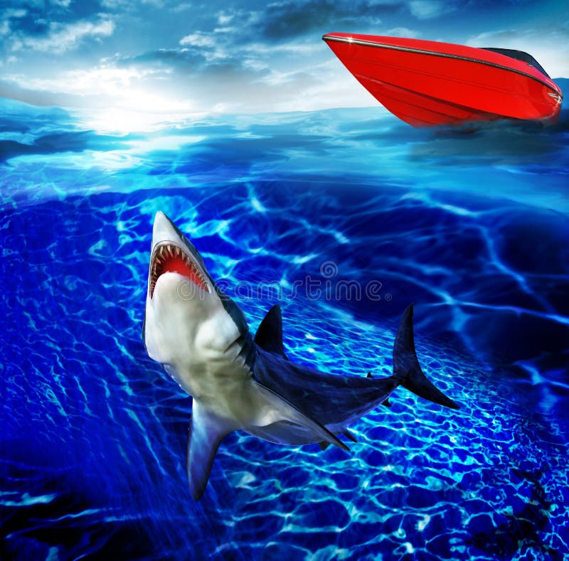 Haifisch stockfoto. Bild von haifisch, marinesoldat, wild - 9491550